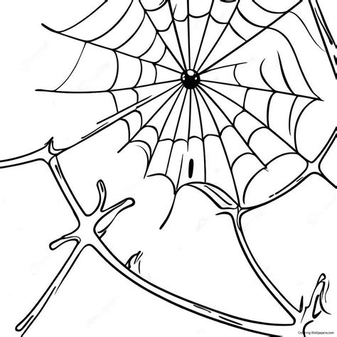 Spooky Spider Web Coloring Page 26225 20724