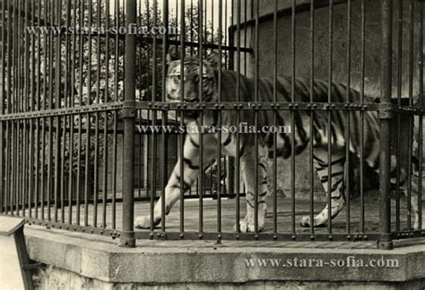 Царската зоологическа градина Стара София