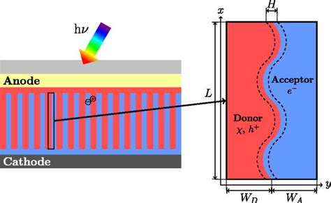 Organic Solar Cells A Rigorous Model Of The Donor Acceptor Interface For Various Bulk