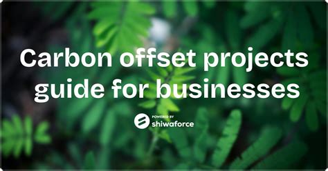 Understanding Carbon Offset Projects A Guide For Businesses