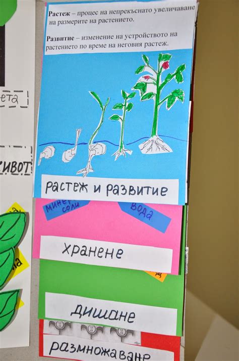 Хвърчащата класна стая: Интерактивна папка