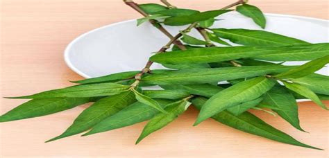 ကန့်ဘလူမြို့၊ မြို့မဈေးတွင် ရောင်းချလျက်ရှိသည့် ဖက်ဖယ်ရွက်ဈေးနှုန်းအခြေအနေ Consumer