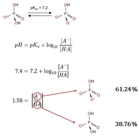 Whats The Pka Of The Phosphate Group In Dna And Rna Molecules
