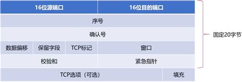 Tcp协议详解 弹力笔记