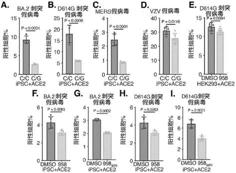 用于治疗炎症和炎症性病况的方法和组合物