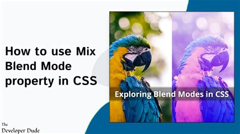 Basics Of Css Mix Blend Modes Css Tricks Css Mix Blend Modes