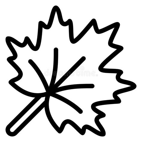 Maple Leaf Line Icon Forest Tree Concept Vector Graphics Leaves Sign On White Background