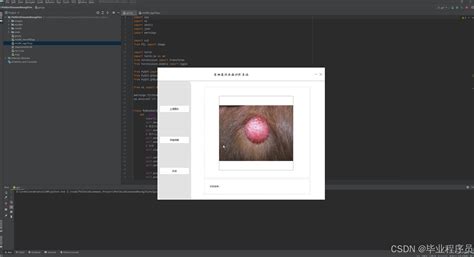 基于深度学习的宠物皮肤病识别系统宠物疾病检测机器学习 Csdn博客