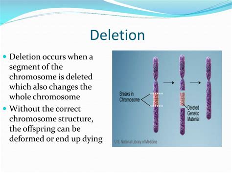 ppt errors and exceptions in chromosomal inheritance powerpoint