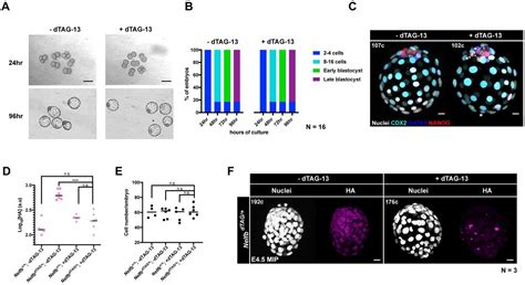 Rapid And Efficient Adaptation Of The Dtag System In 53 Off