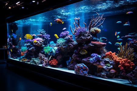 美丽的水族馆高清图片下载 正版图片600559915 摄图网
