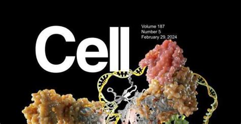 登上国际顶级学术期刊封面！上海科学家揭开叶绿体基因转录机器构造，破解世界性难题 腾讯新闻