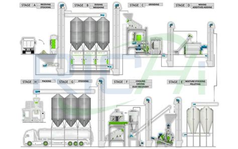 What Equipments Are Needed To Set Up A Poultry Livestock Chicken Duck