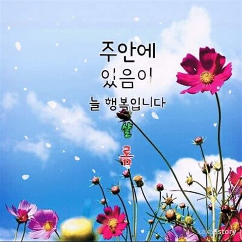 맑고 높고 푸른하늘에 뭉게 구름이 아름답게 수를 놓고 코스모스는 기독교대한성결교회 양촌비전교회