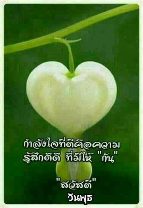 💚พุธสดใสค่ะ💚🍉💕 มีความสุข วันพุธ อรุณสวัสดิ์