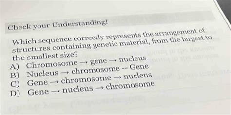 Solved Check Your Understanding Which Sequence Correctly Represents