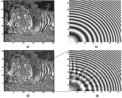 A Original Image B Part Of The Linear Frequency Modulated Signal Download Scientific