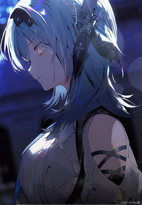 C vector题目篇 vector练习题 CSDN博客