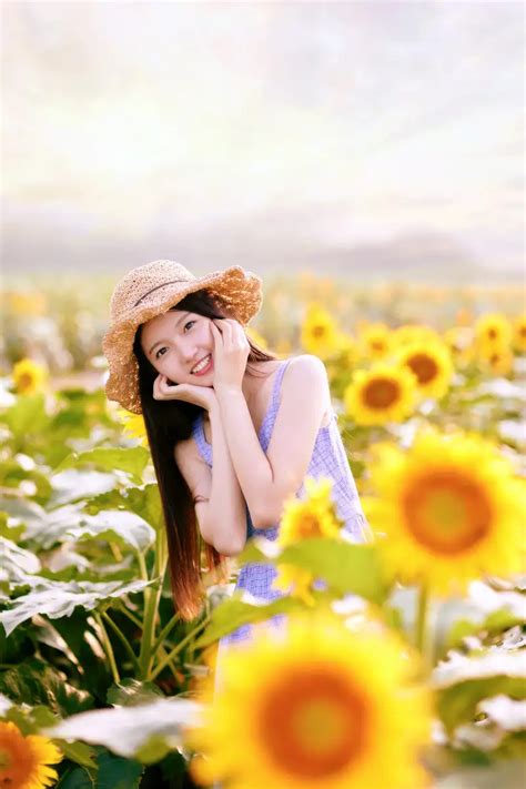 和差测角公式 教育 安全问答