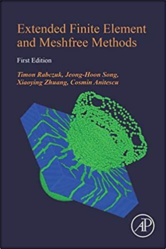 Extended Finite Element And Meshfree Methods The Nest Of Engineerings