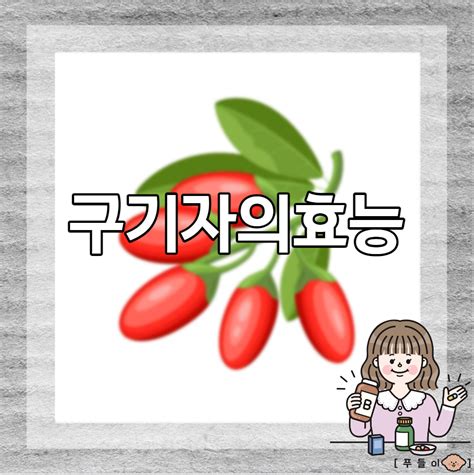 구기자의효능 건구기자 먹는법 네이버 포스트