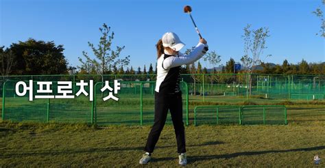 파크골프 어프로치 샷 치는 요령