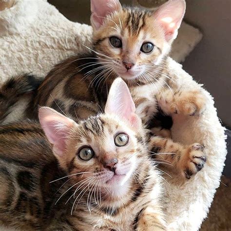 binary and bitwise operations for fun and bitmap decoding by alec morgan medium