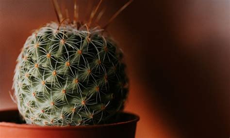 Laravel Tutorial Redirect After Login Or Register Adding A Custom Method