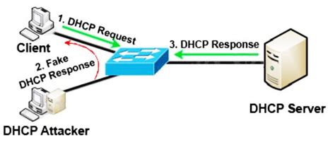 Sepideh Zamani On Linkedin To Understand Dhcp Snooping We Need To Learn About Dhcp Spoofing