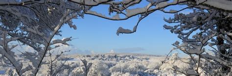 A Basic Tutorial On Creating Drop Down Menu In Wordpress Wp Daily Themes