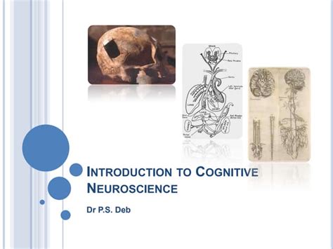 Introduction To Neuroscience Ppt