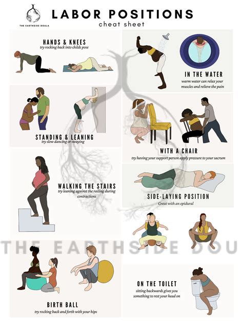 Labor Positions Infographic For Birth Workers COMMERCIAL USE Doula Midwife OBGYN Fitness