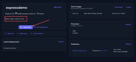 How To Deploy Express With PostgreSQL On AWS EC2 And Digital Ocean Droplet