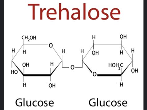 Stupid Question About Non Reducing Disaccharides R Biochemistry