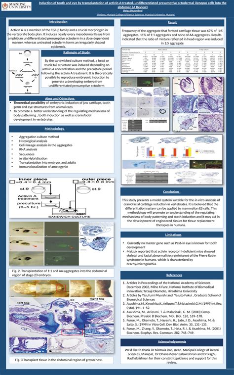 Pdf Induction Of Tooth And Eye By Transplantation Of Activin A
