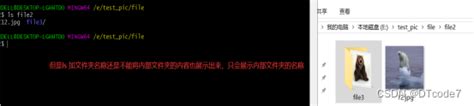 Cmd小黑框——命令行基础语句与实操效果演示命令框 Csdn博客 Cmd小黑框——命令行基础语句与实操效果演示命令框 Csdn博客