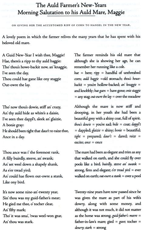 Robert Burns Poem To A Mouse English Translation