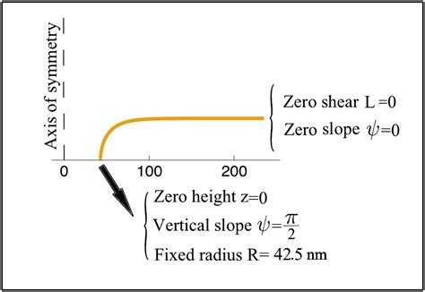 Ultradonut Topology Of The Nuclear Envelope Pnas