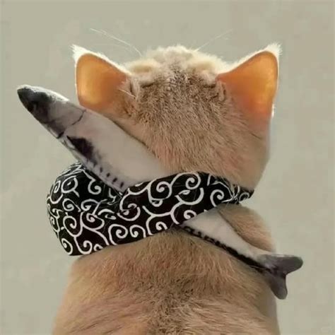 176 Chill Pfp To Boost Your Calm And Aesthetic Vibe