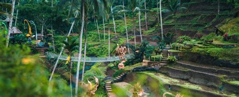 💼 International Teaching Jobs New To Schrole This Week 31 January 2025 💼 Be Among The First To