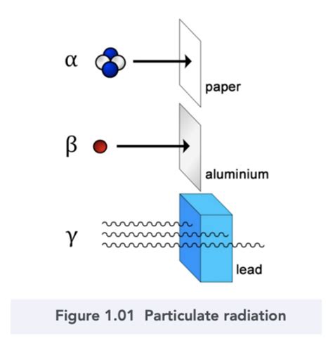 Diagnosis And Disorders Radiology Flashcards Quizlet