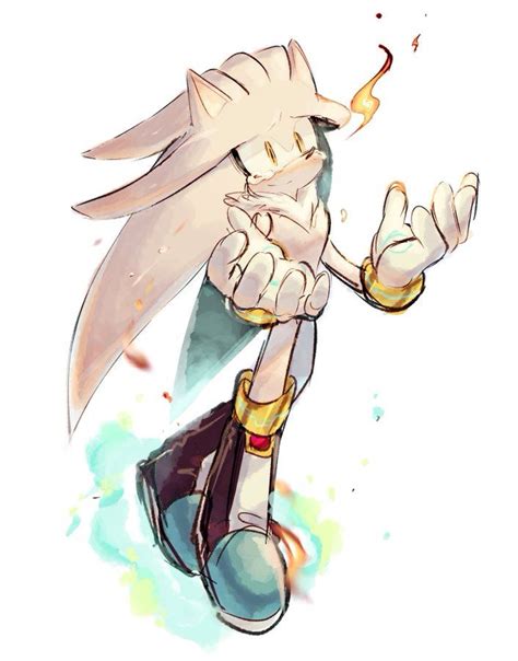 An Image Of Sonic The Hedge From Sonic The Hedge Cartoon Character