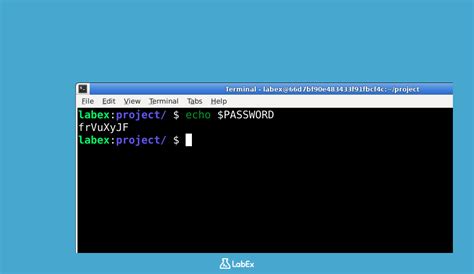 在 Ubuntu 上安装和配置 Ansible Labex