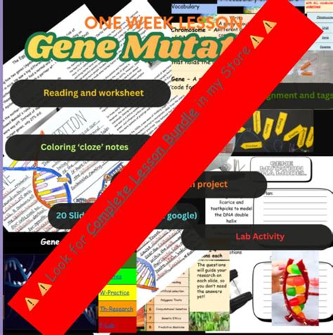 Genetic Mutations Lesson Slides Only By Aspen Science Tpt
