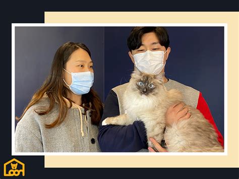 렉돌 우유 책임분양 말티푸성격 단모치와와분양 아기강아지 수원고양이무료분양 시바견분양가 아비시니안고양이 말티즈수명 부천강아지분양 빅토리아펫보호소 입양완료