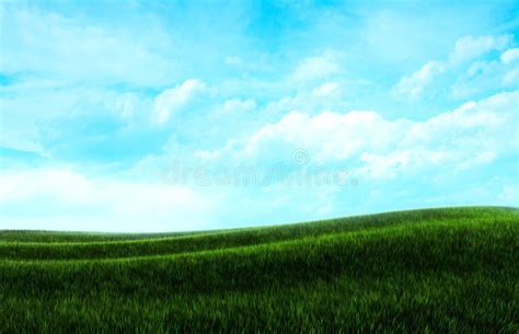 Background Of Sky And Grass Stock Illustration Illustration Of White