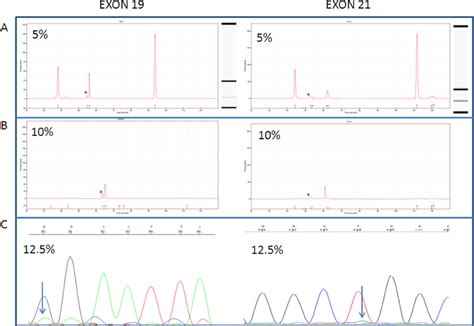 The Limit Of Detection Lod Of Mutant Epidermal Growth Factor Receptor Download Scientific