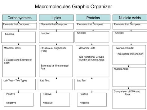 Macromolecules Chart Structures