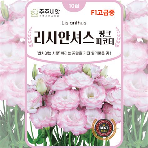 리시안셔스 핑크피코티 10립 하우숩