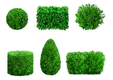 Landscaping Vector Images Over 1 Million
